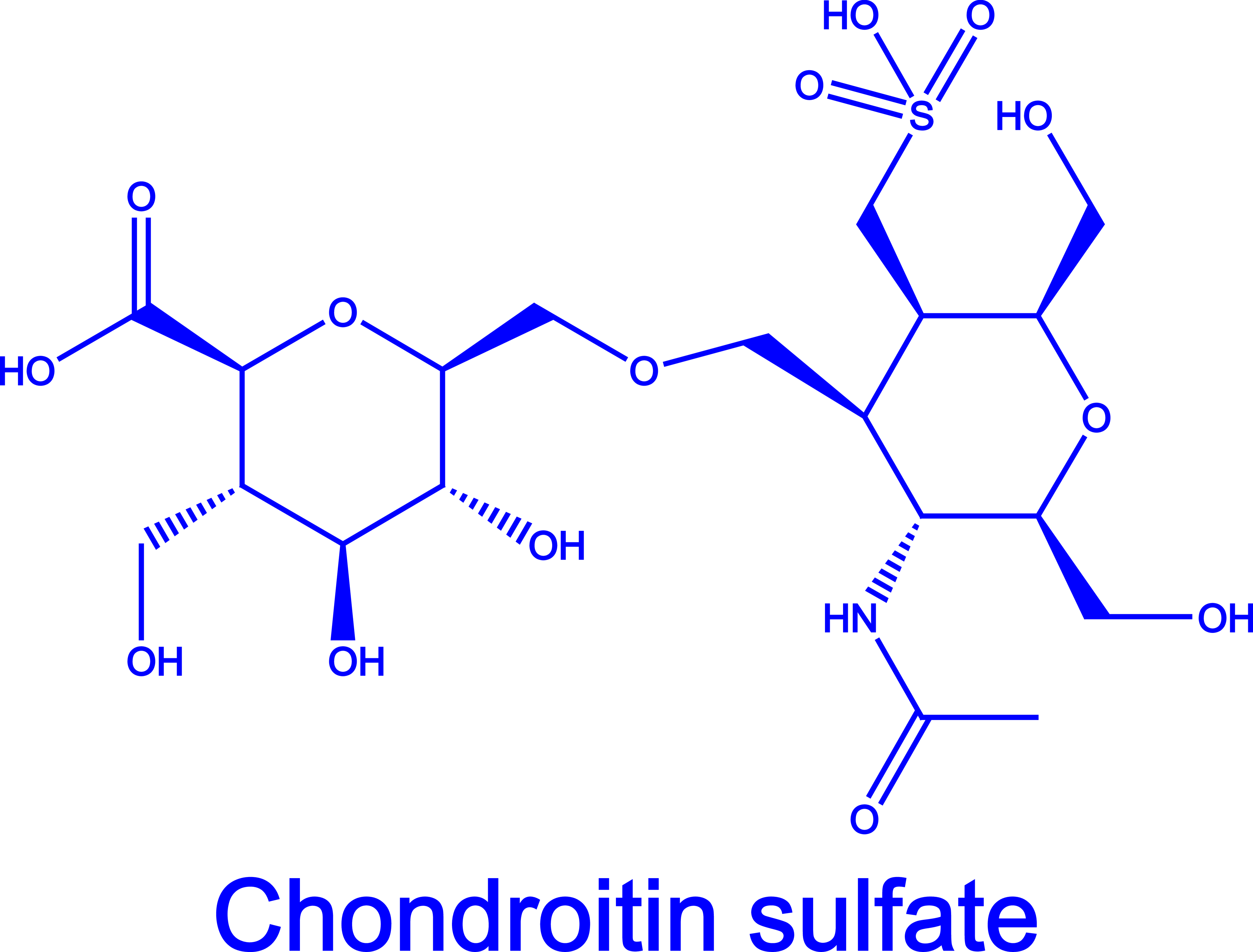 Chondroitin Sulfate: The hidden star of GLX3 – Haka Life Nutrition